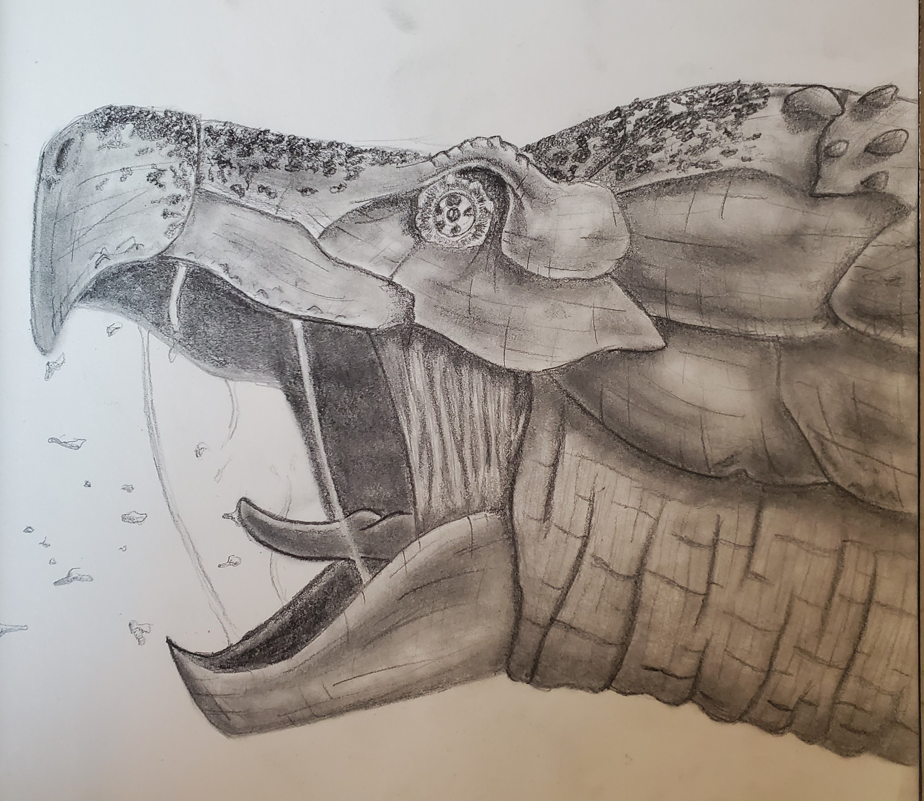 Turtle Rex (2) – Lord of the Blog